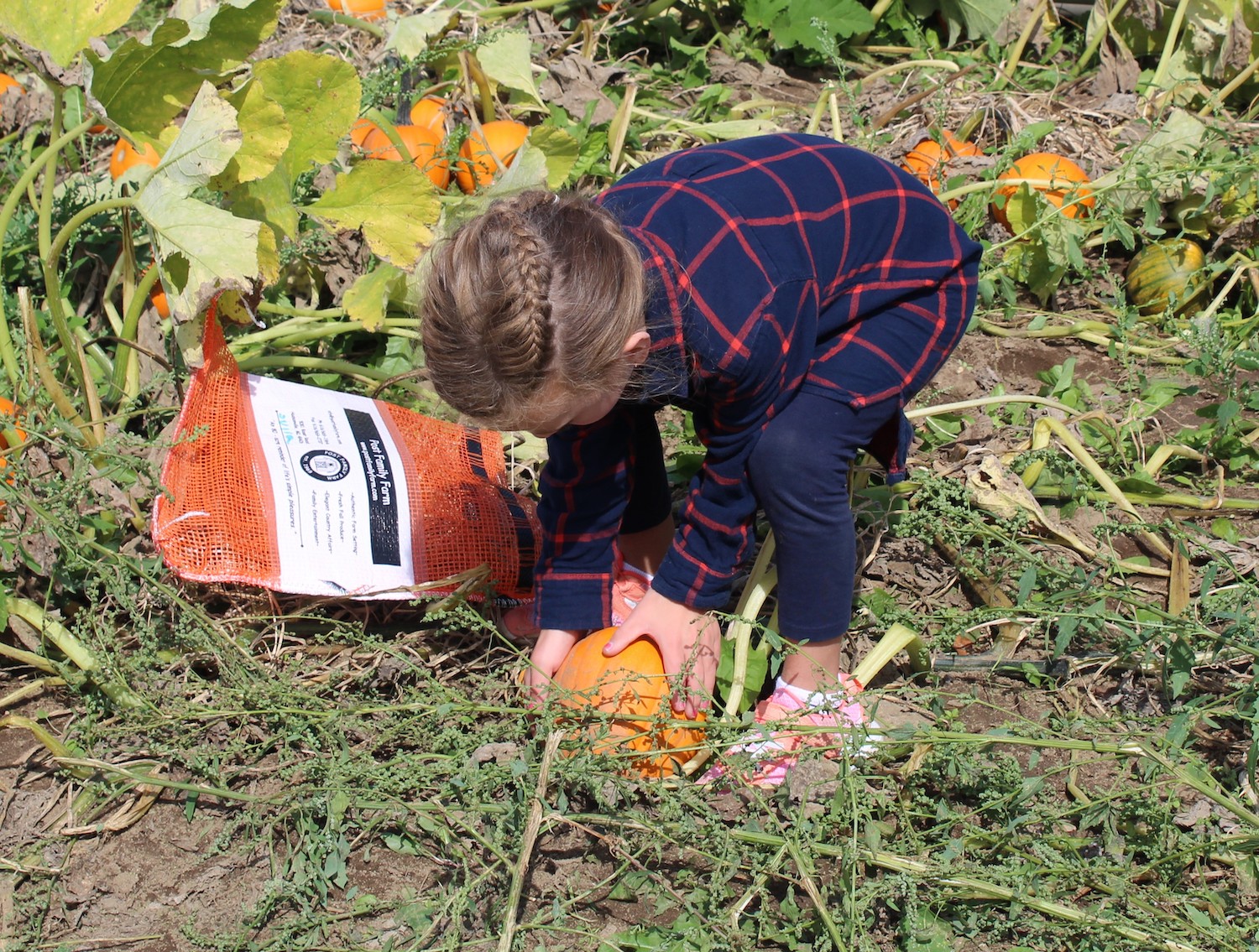 Schools & Tours - Post Family Farm